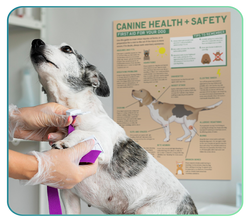 Animal Health & Safety Posters – AnatomyStuff