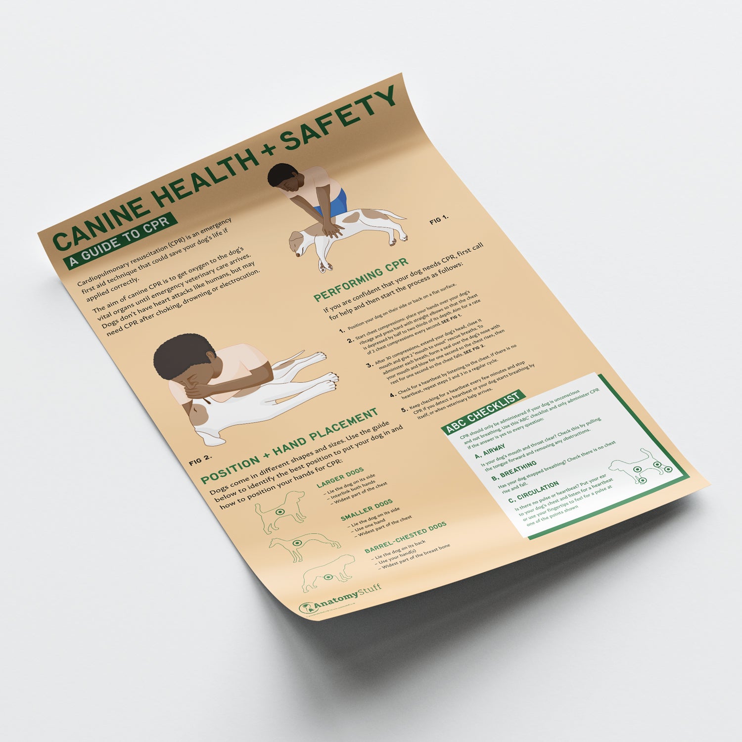 Animal Health & Safety Posters – AnatomyStuff