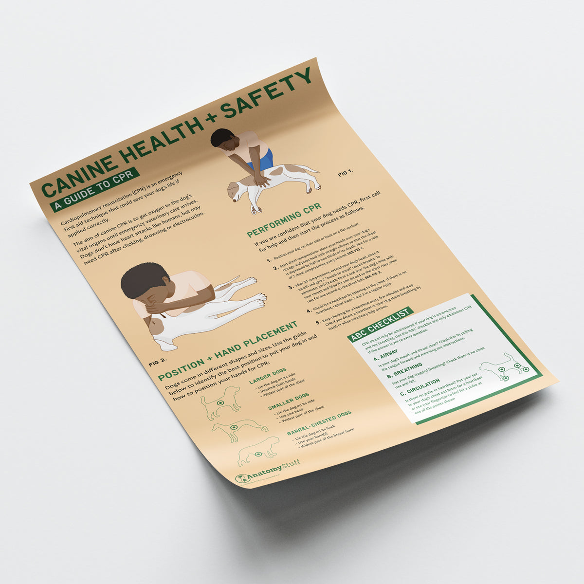 Animal Health & Safety Posters – AnatomyStuff