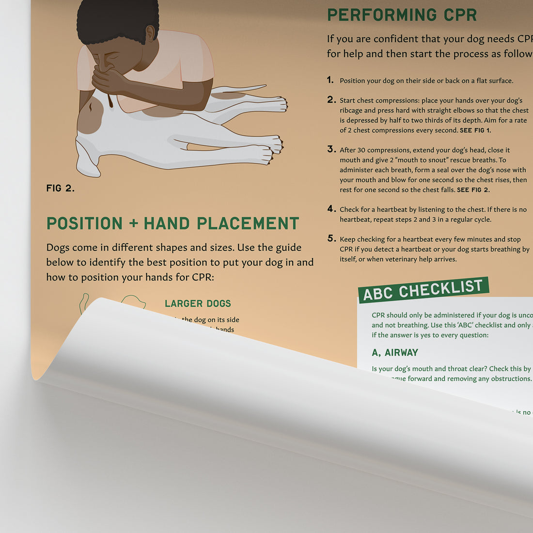 Animal Health & Safety Posters – AnatomyStuff