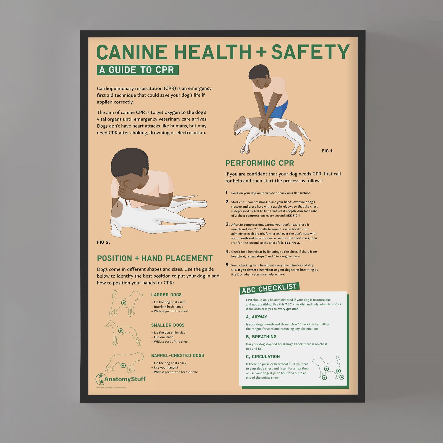 Animal Health & Safety Posters – AnatomyStuff