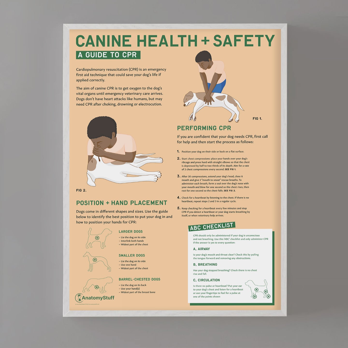 Animal Health & Safety Posters – AnatomyStuff