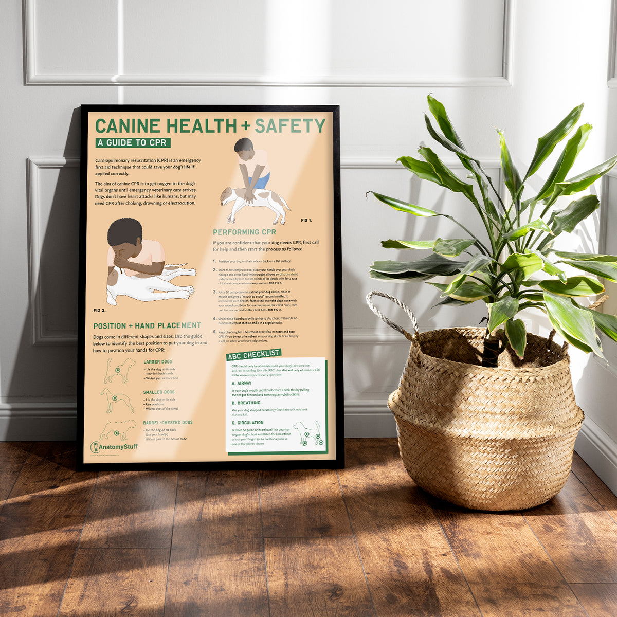 Animal Health & Safety Posters – AnatomyStuff