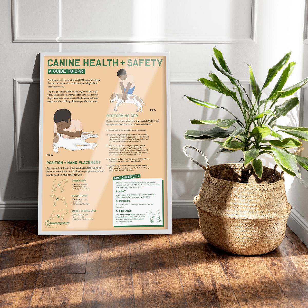 Animal Health & Safety Posters – AnatomyStuff