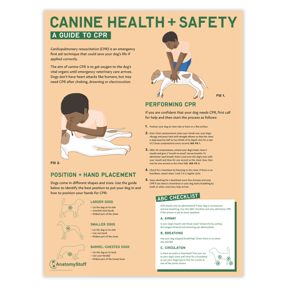 Animal Health & Safety Posters – AnatomyStuff